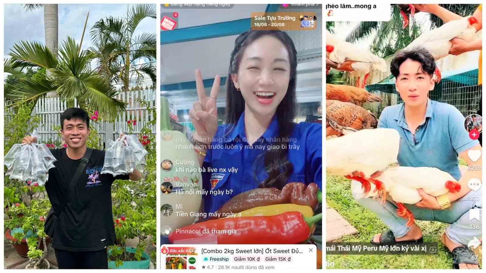 Kinh doanh thời đại số: Con gà, cá cảnh... lên livestream