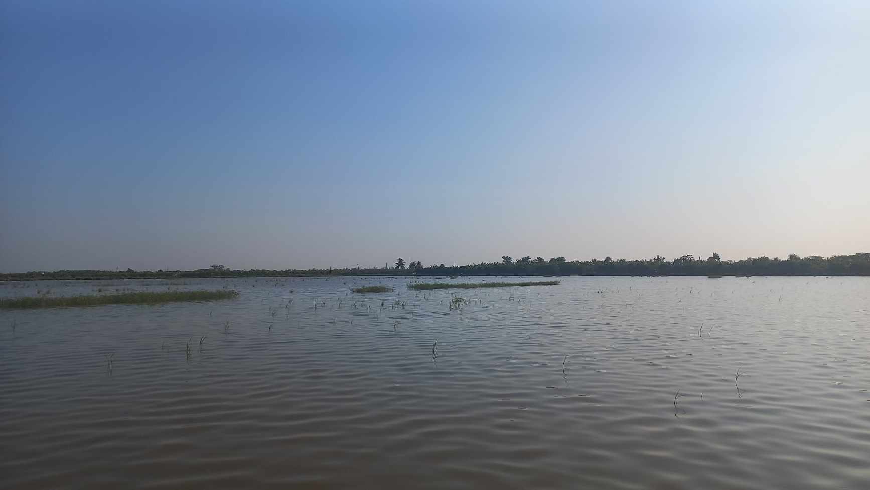 Về Hải Phòng ‘săn’ rươi, trúng mùa là dư tiền ăn Tết