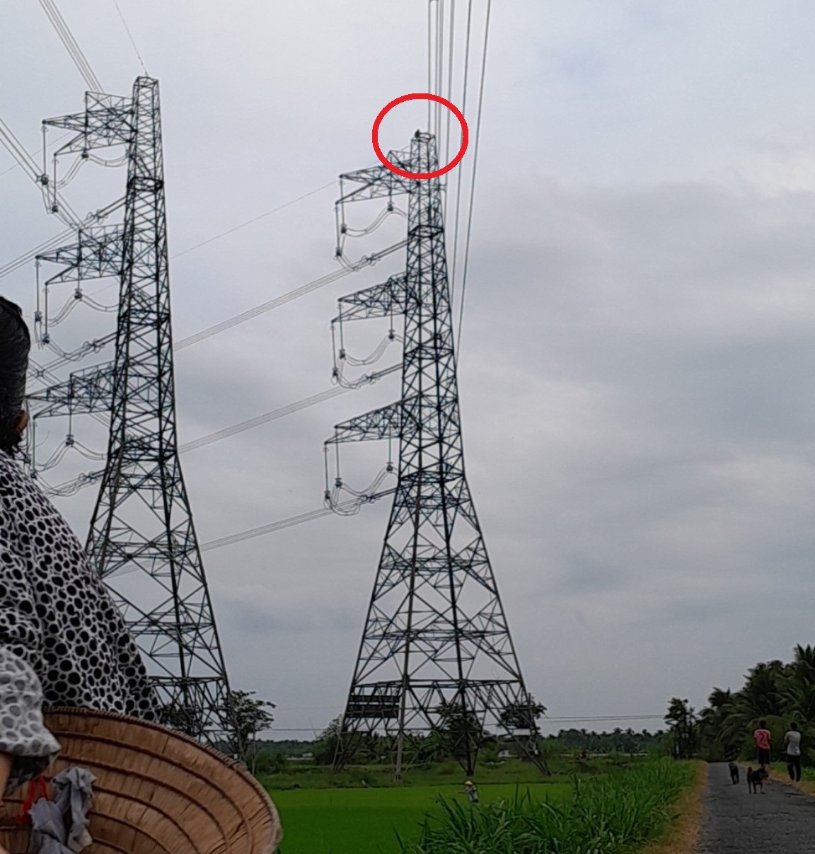 Người đàn ông nhậu say, 3 lần leo cột điện cao thế 500 kV