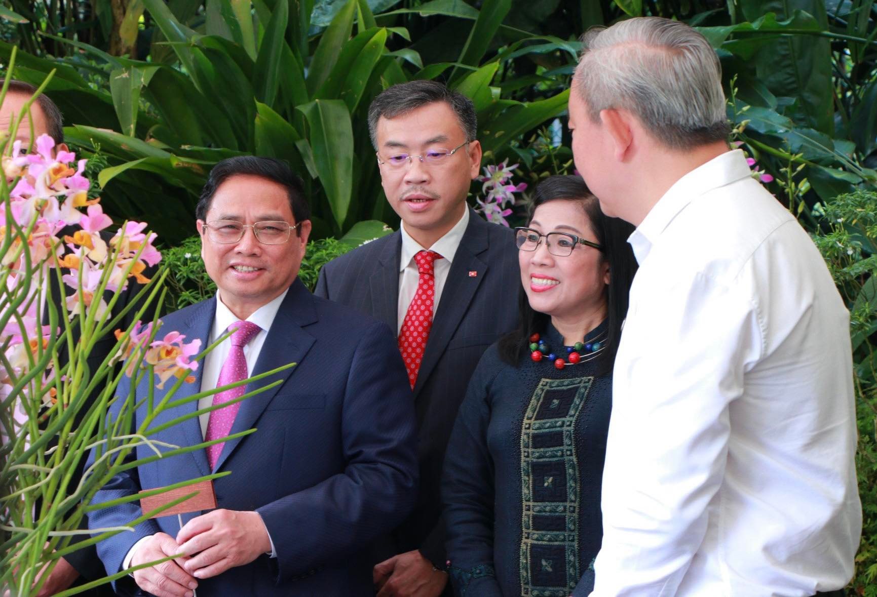 Loài hoa lan Singapore đặc biệt mang tên Thủ tướng Phạm Minh Chính và ...