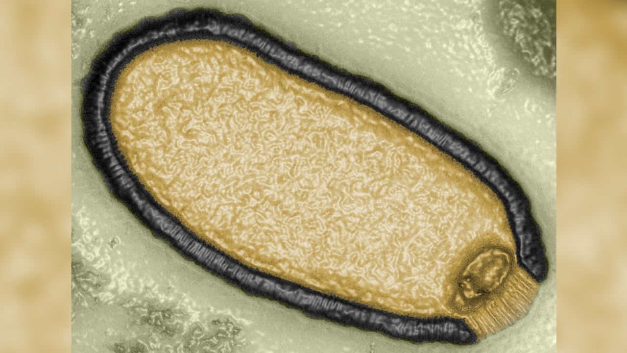 Mối nguy từ 'virus thây ma' trong băng vĩnh cửu