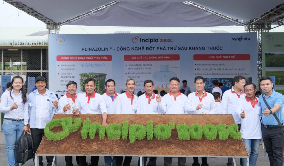 Incipio® 200SC - giải pháp phòng trừ sâu cuốn lá kháng thuốc