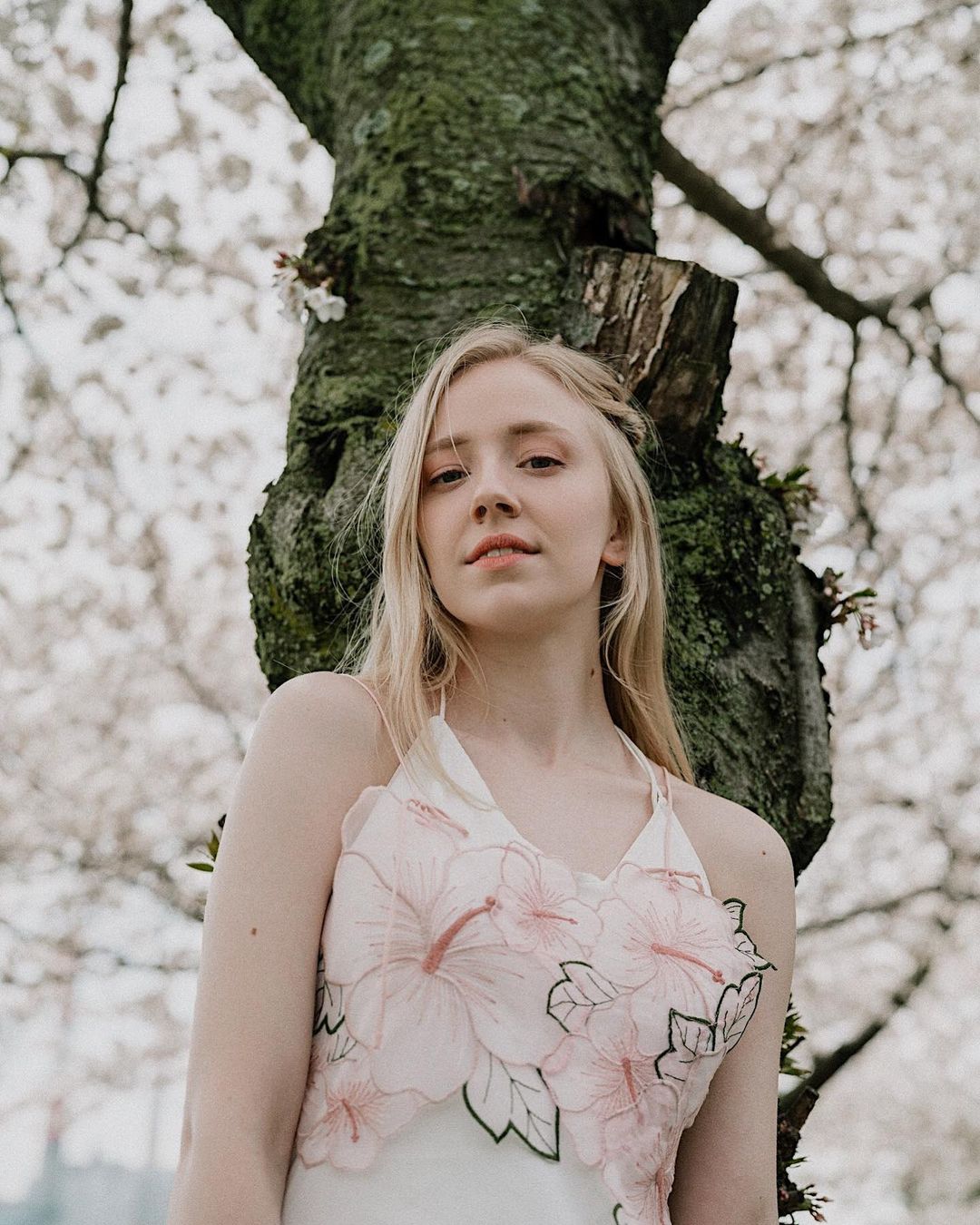 Thiếu nữ từng được gọi là 'thiên thần', 'tiên nữ', bây giờ ra sao?