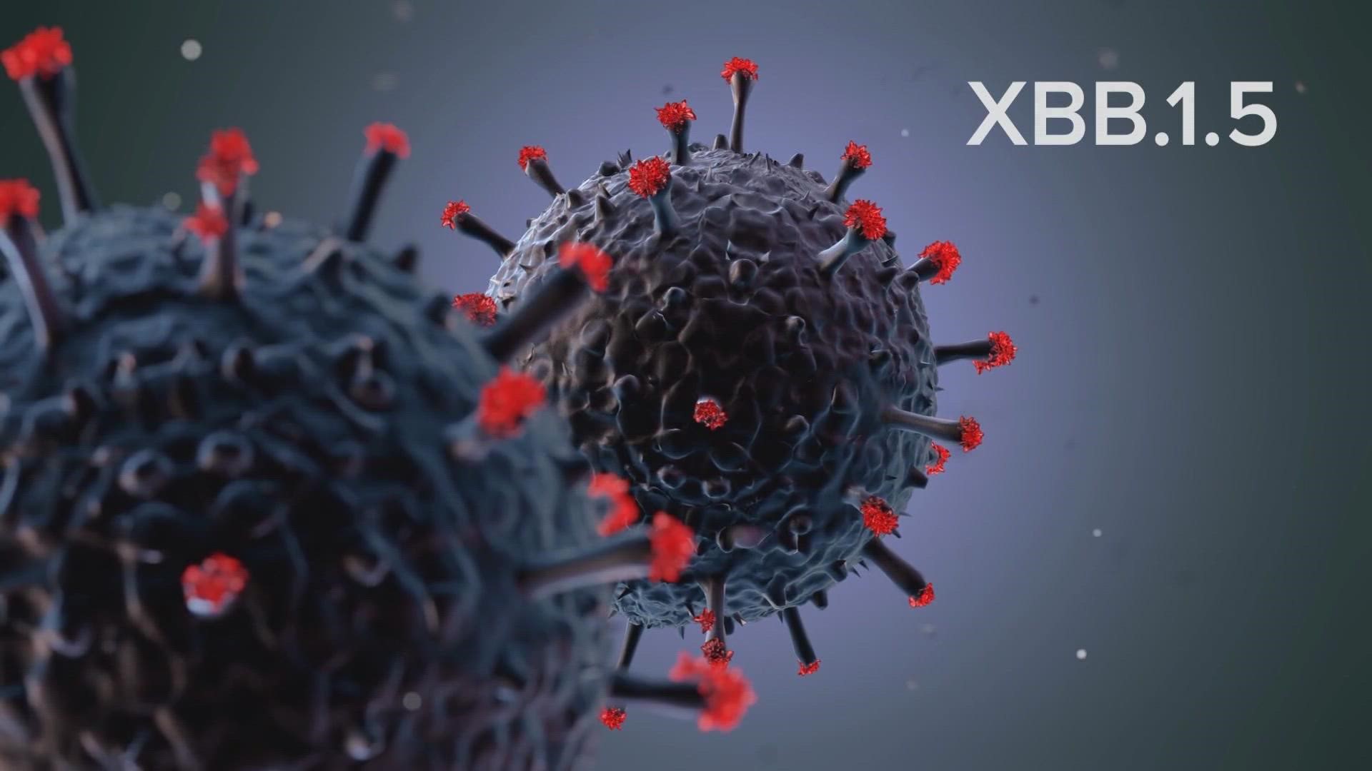 FDA đề xuất tập trung phát triển vắc xin đối phó biến thể XBB