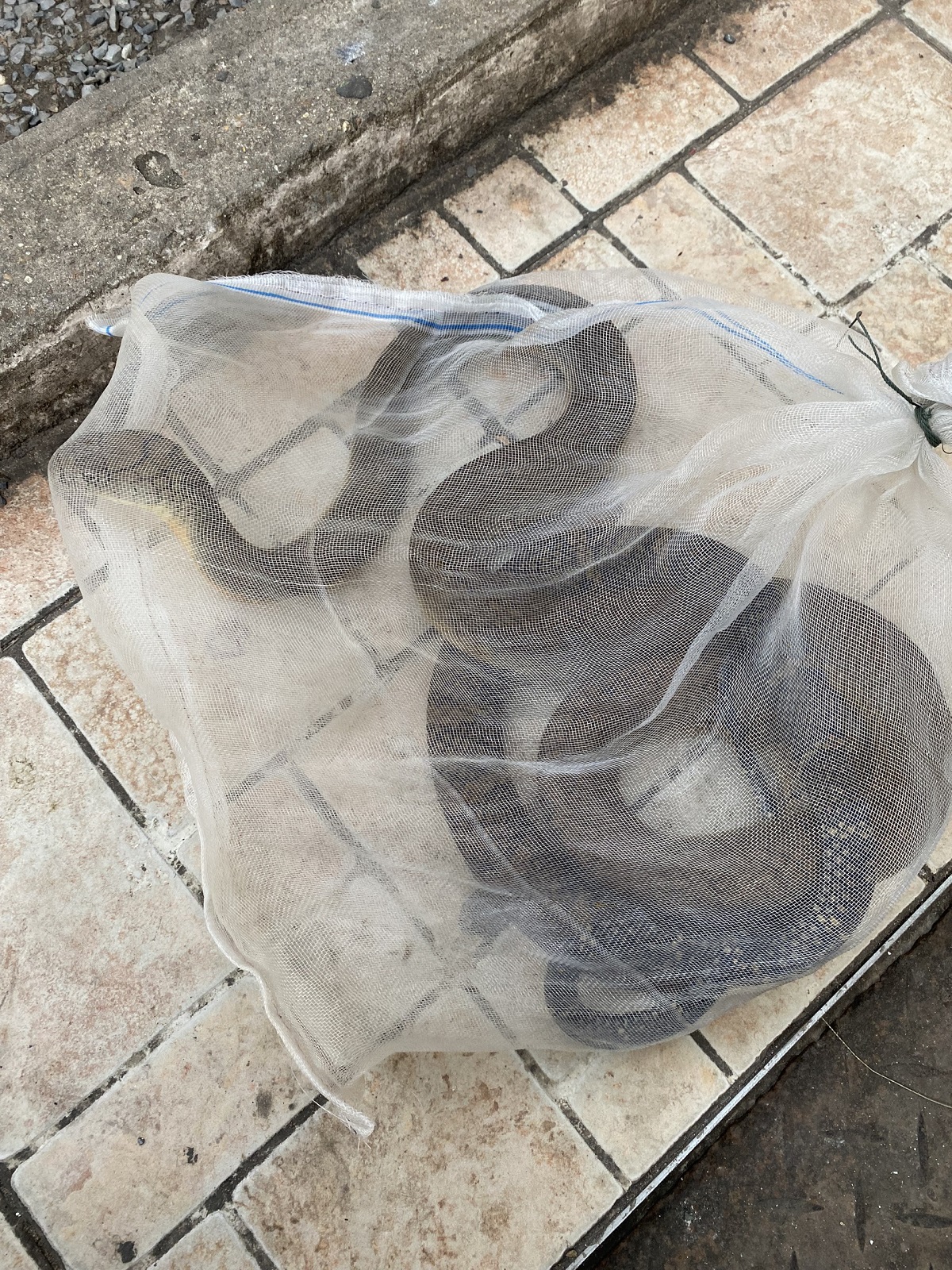 Truyền 10 lọ thuốc giải độc cứu người đàn ông bị rắn cắn