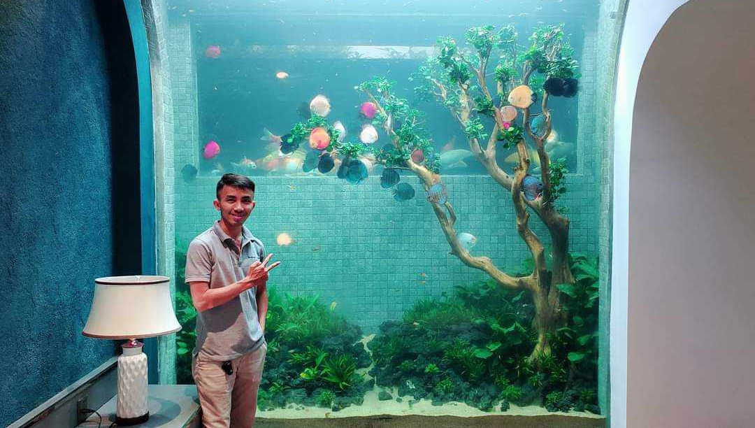 Kiếm thêm hàng chục triệu đồng mỗi tháng với cây ráy