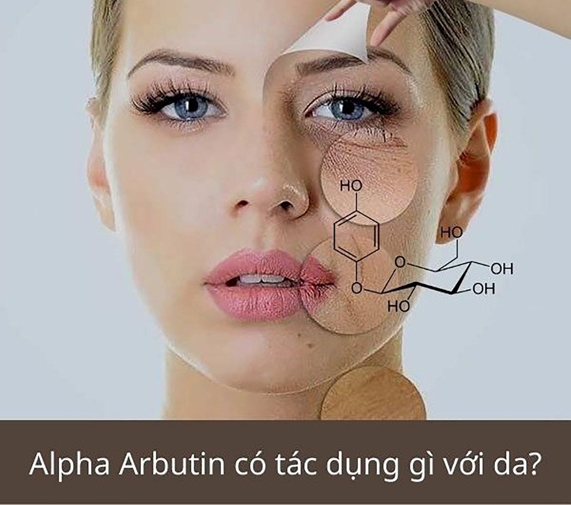 Alpha Arbutin là gì? Tác dụng đối với làn da và những lưu ý khi sử dụng