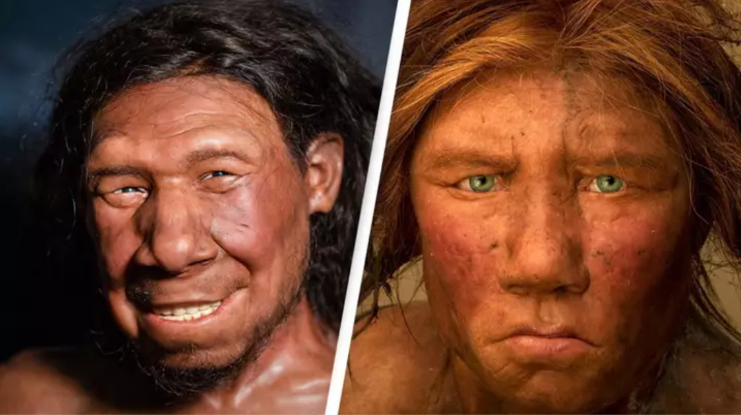 Liệu bạn có mang gien người Neanderthal đã tuyệt chủng?