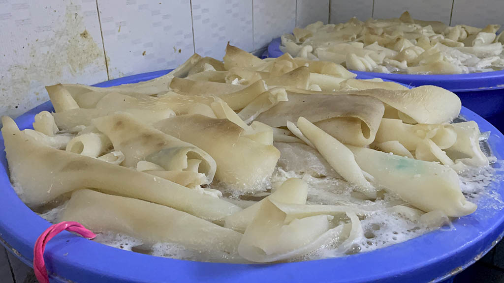 Khiếp hãi bì heo bẩn ở TP.HCM: Đột nhập cơ sở chế biến