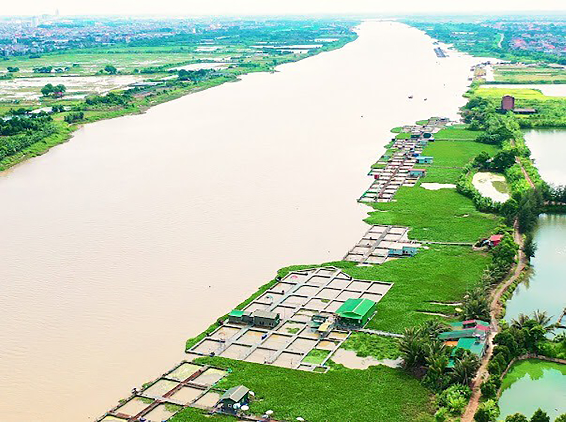 Casa fish – Nền tảng cộng đồng doanh nghiệp 4.0 Việt Nam