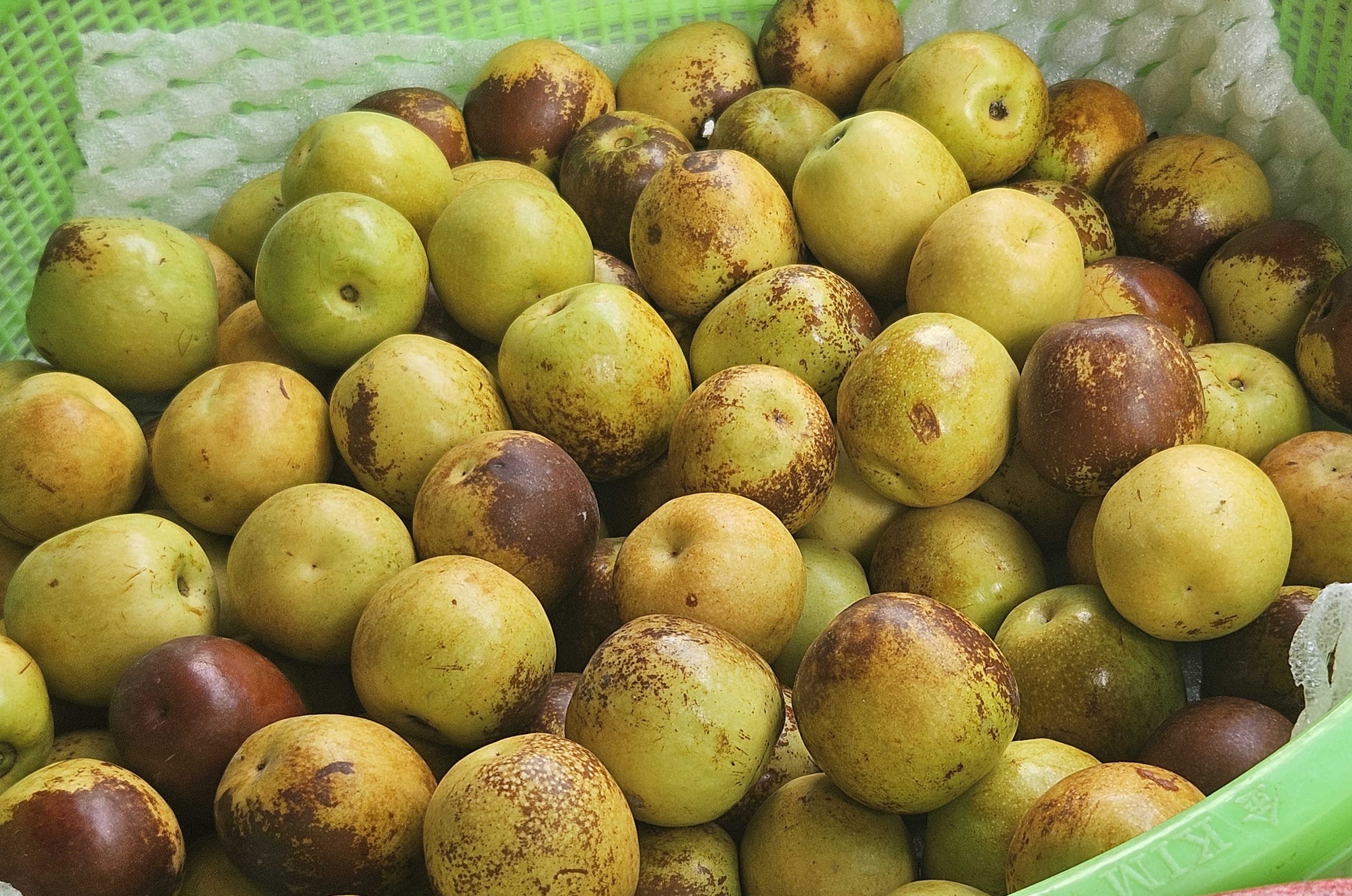 Táo tàu bổ dưỡng nhưng người cao tuổi, bệnh nền nên ăn với liều lượng ...