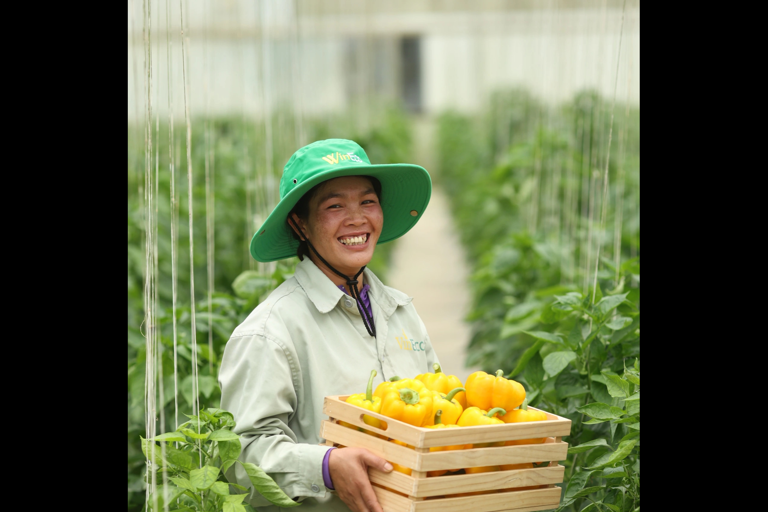 Rau củ quả WinEco trong Top 10 sản phẩm, dịch vụ ấn tượng năm 2024