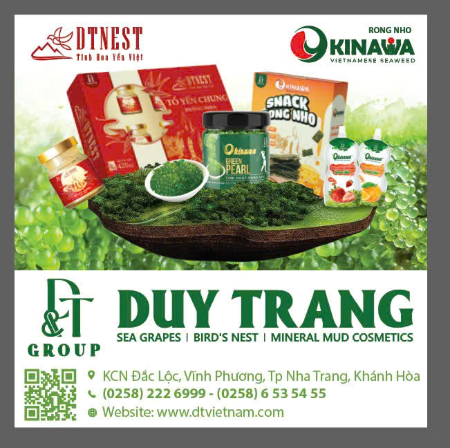 DT Group nhận giải thưởng Sao Vàng đất Việt 2024