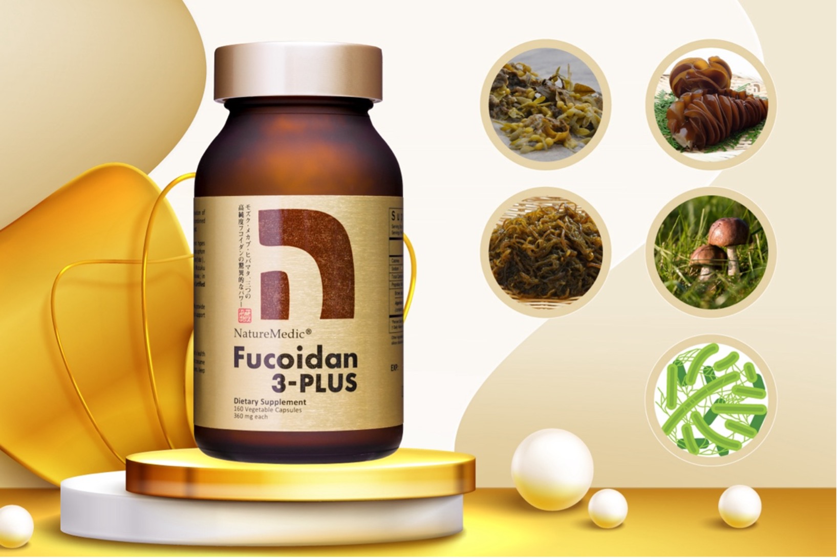 3 tiêu chí chọn Fucoidan Nhật Bản chính hãng nhập khẩu