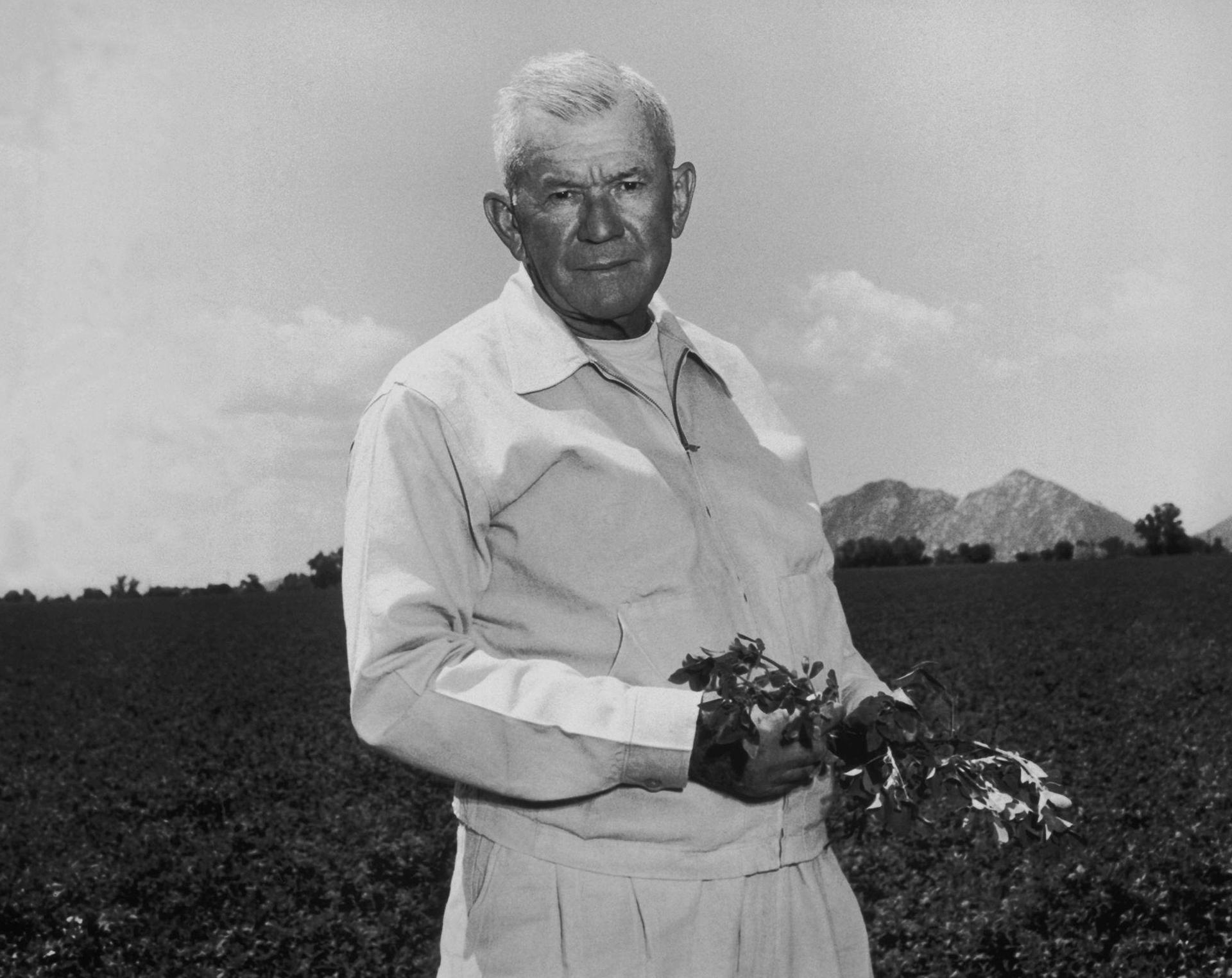 Thương hiệu Nutrilite và tầm nhìn vượt trội trong hành trình chăm sóc ...