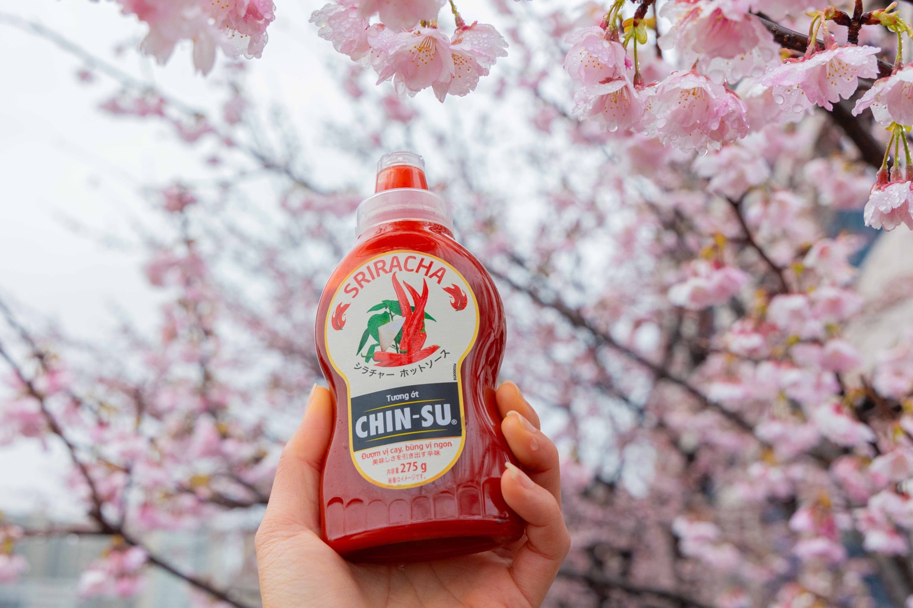 Tương ớt Chin-su Sriracha thu hút ở Nhật Bản vì vị cay thơm độc đáo
