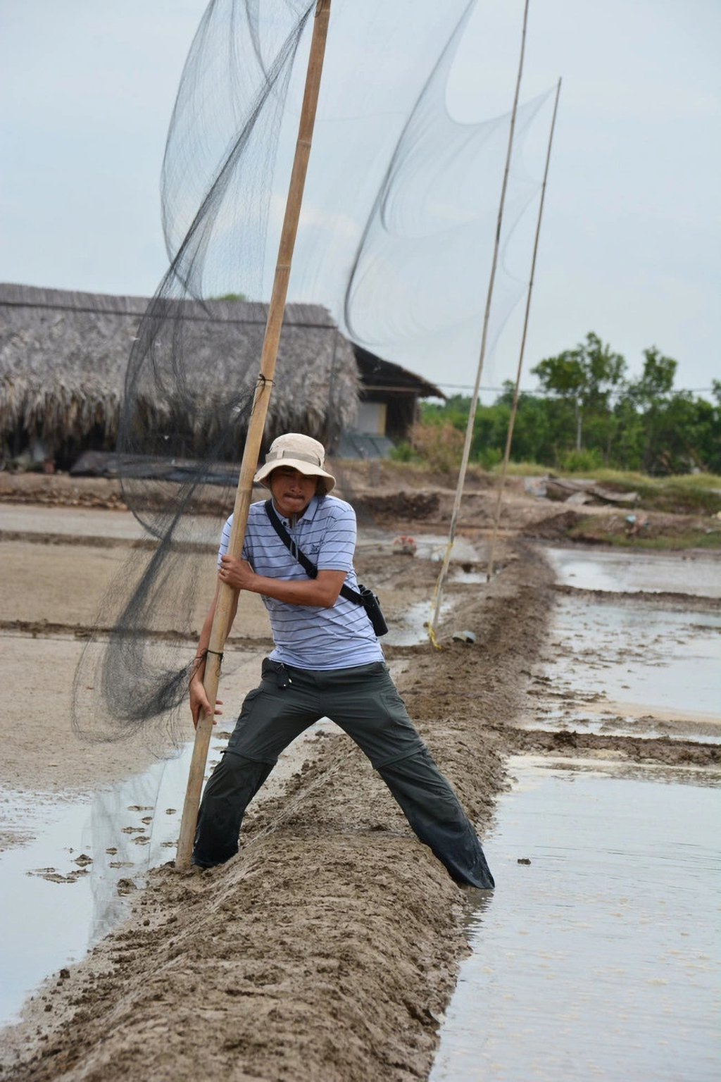 Những người 'hành xác' vì chim di cư