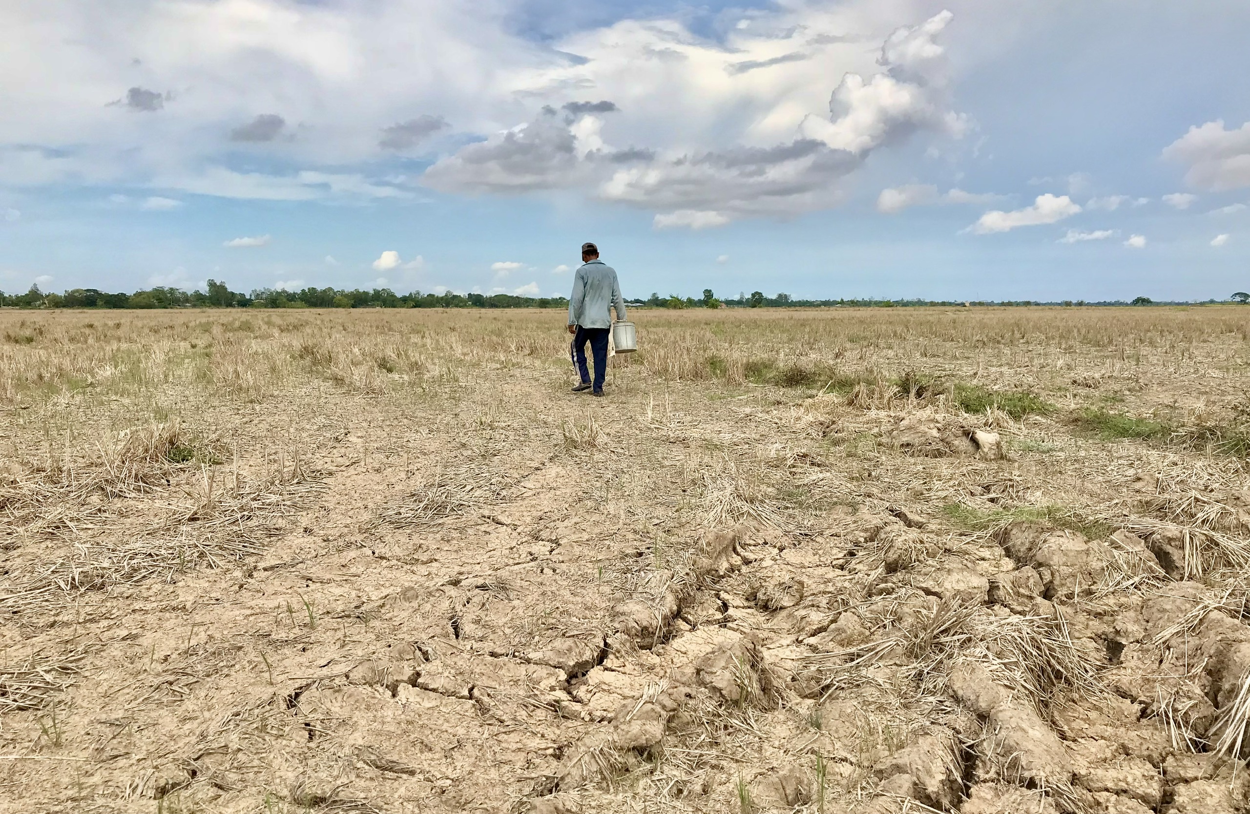 Hạn mặn ở ĐBSCL có thể gây thiệt hại hơn 70.000 tỉ đồng