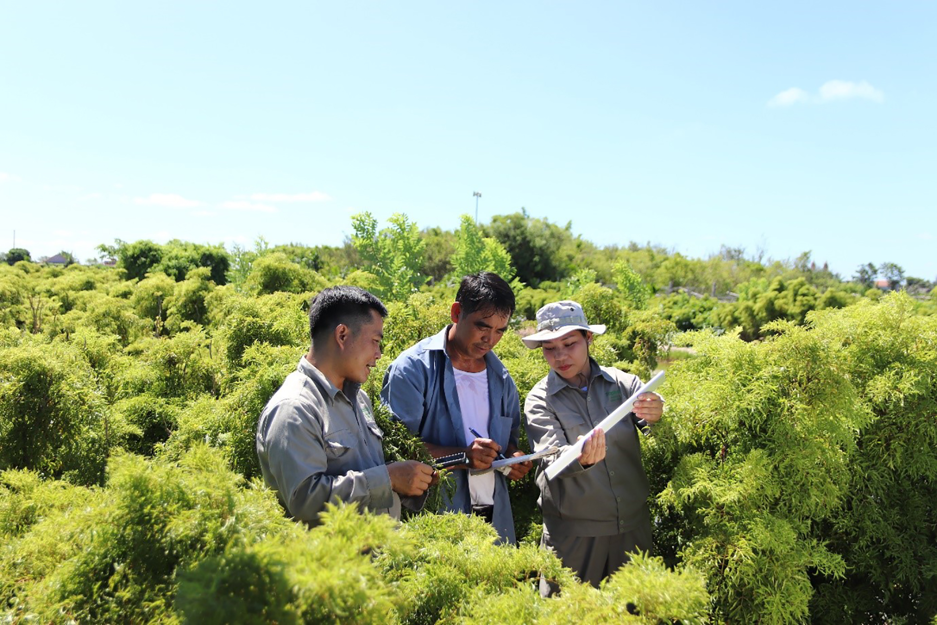 Traphaco - thương hiệu của chất lượng và sự tin cậy