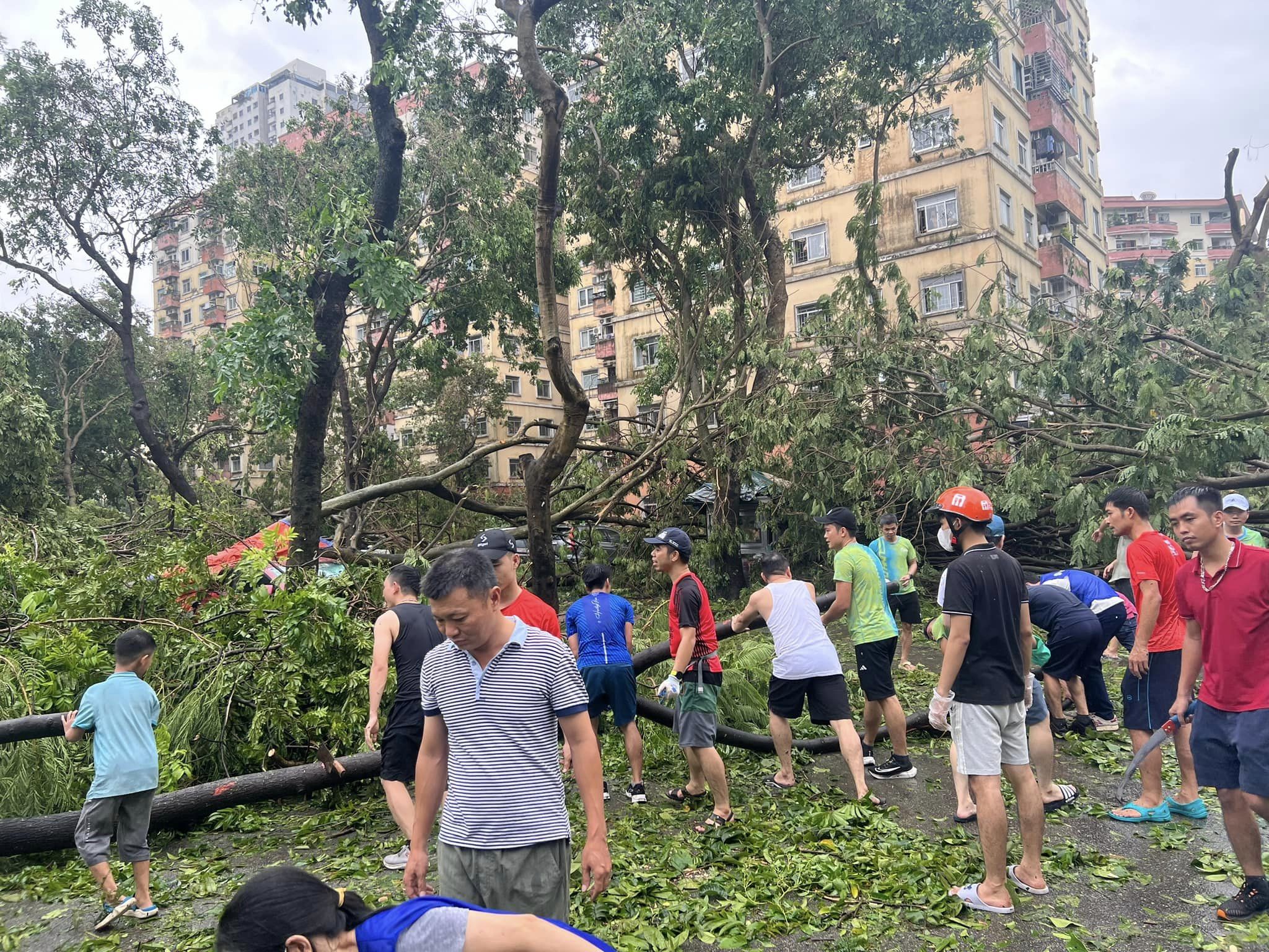 Những hình ảnh đẹp người dân chung tay dọn dẹp sau bão