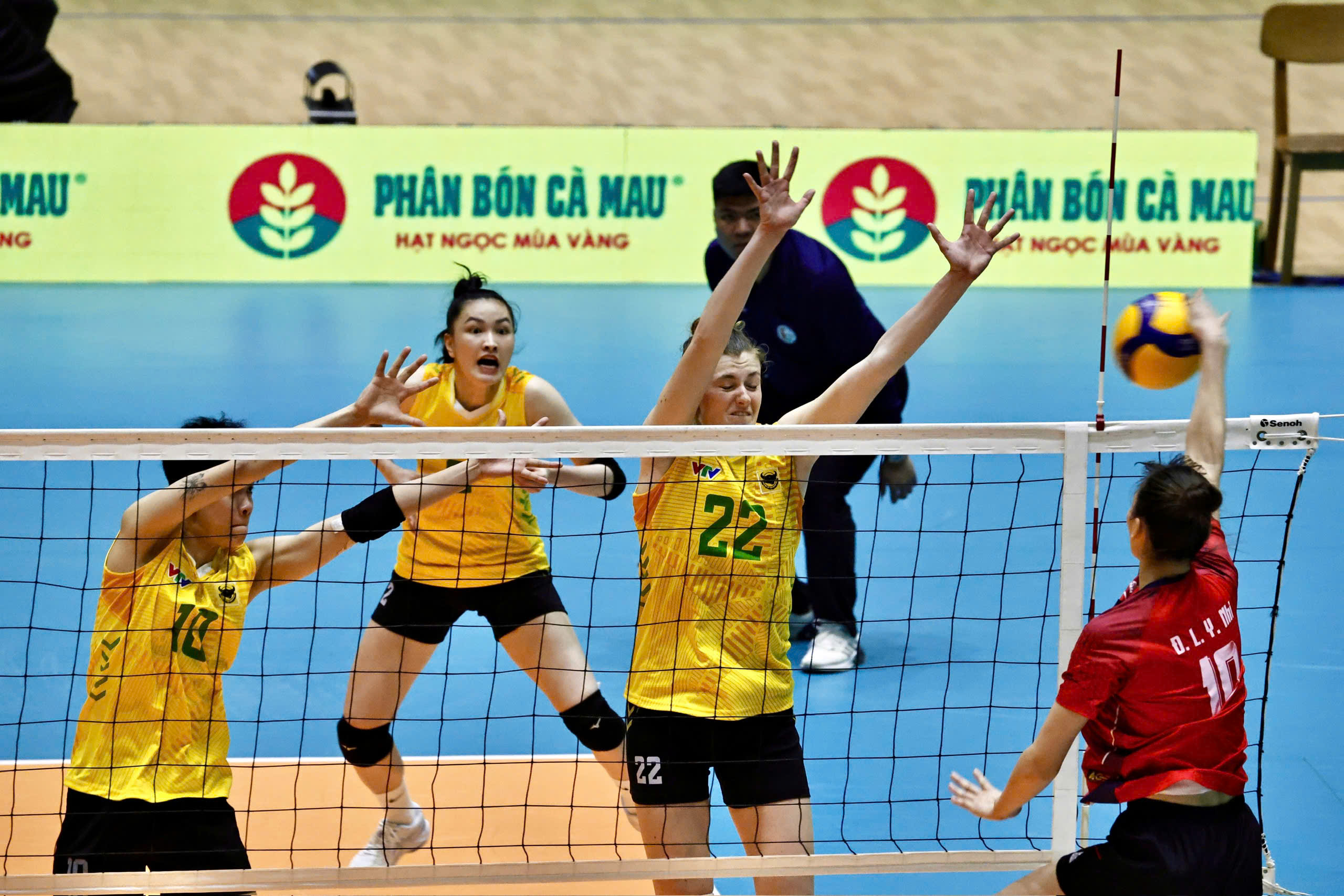 Spielplan des heutigen Volleyballturniers der asiatischen Frauen: Thanh Thuy in Aktion