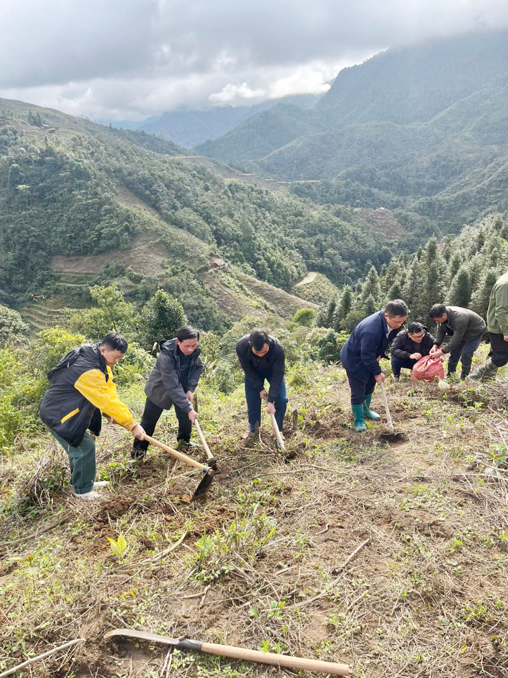 Uống trà đi!: Gieo mầm trà cho tương lai