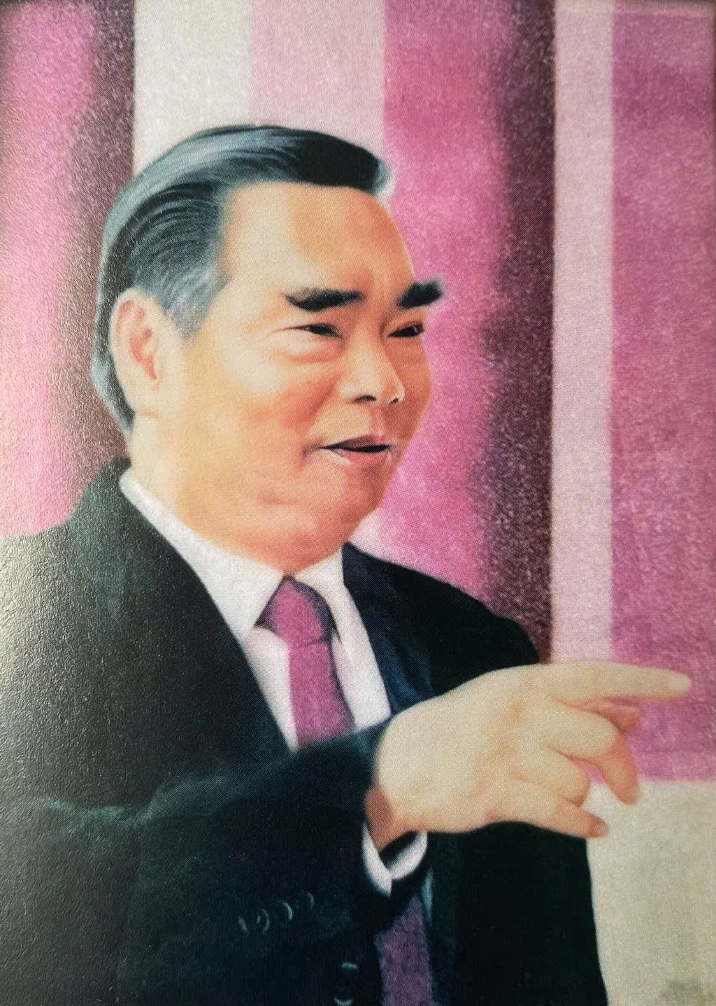 Full portrait of General Le Hong Anh