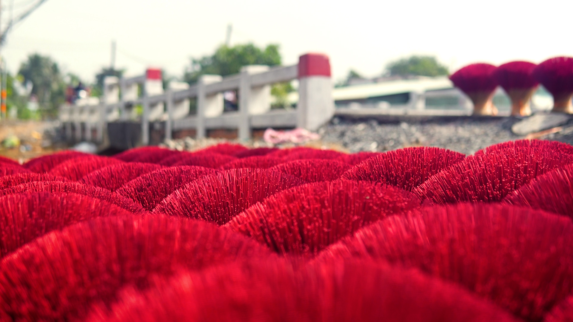 Making incense sticks for Tet in Ho Chi Minh City: The elderly hope ...