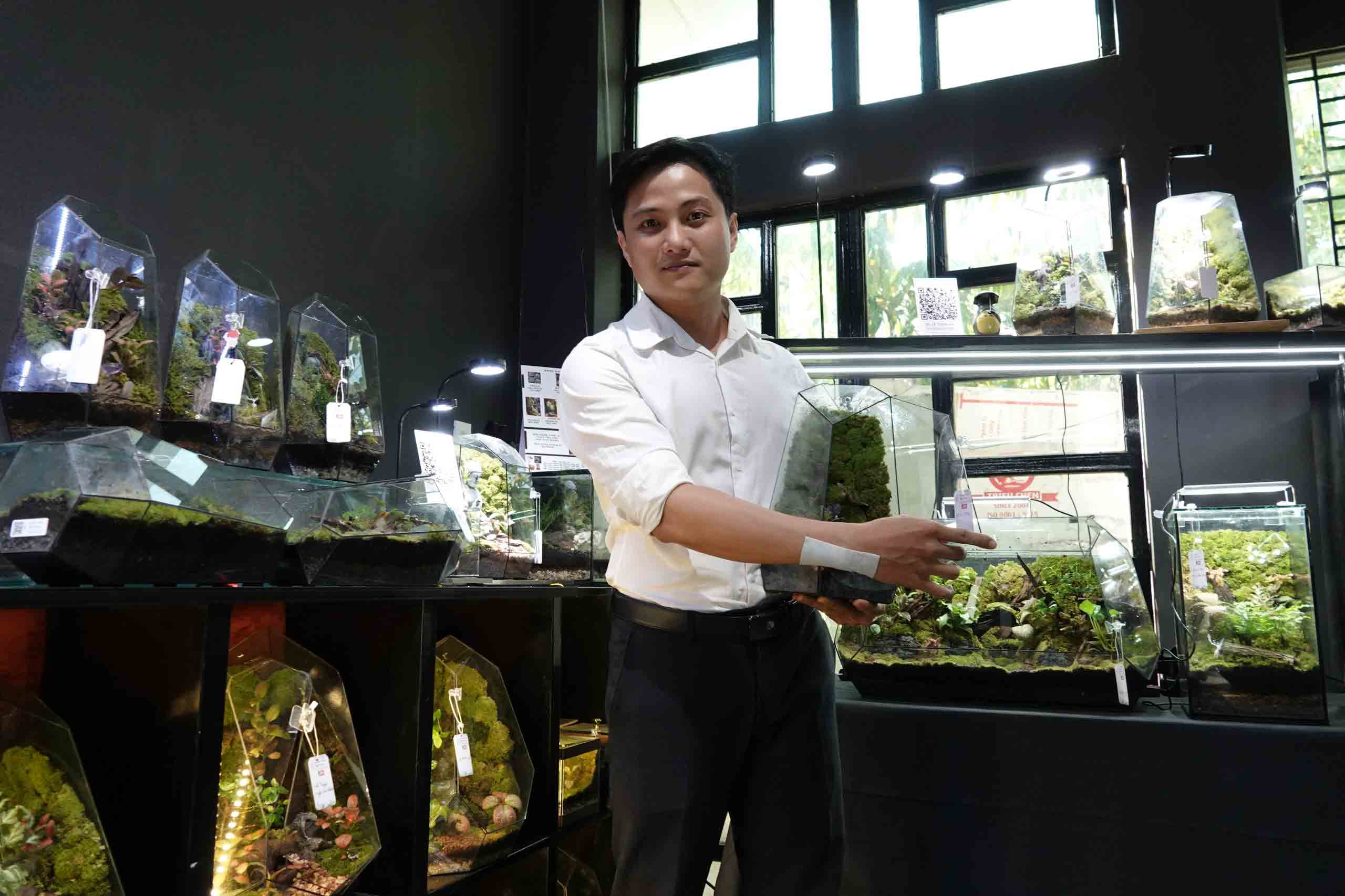 Bác sĩ đưa 'rừng nhiệt đới' vào lồng kính, xây dựng chuỗi terrarium lớn ...