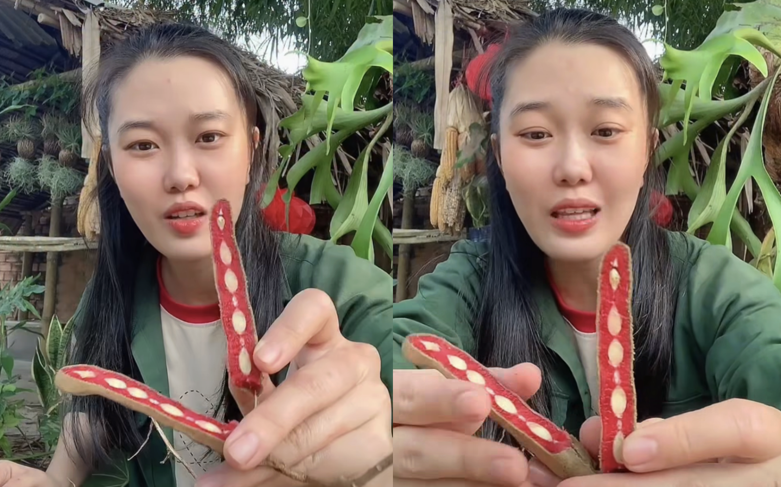 Unique red-fleshed tamarind, netizens mistakenly think it's AI-created ...