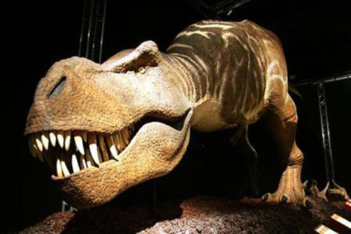 Khủng long T.rex "táp mạnh" nhất thế giới