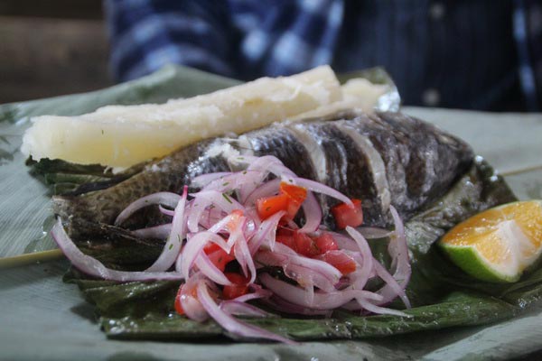 Hành trình đến xích đạo - Kỳ 2: Vùng đất của người da đỏ và loài trăn ...