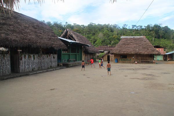 Hành trình đến xích đạo - Kỳ 2: Vùng đất của người da đỏ và loài trăn ...