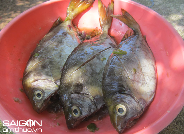 Thú vui cá dò câu nướng