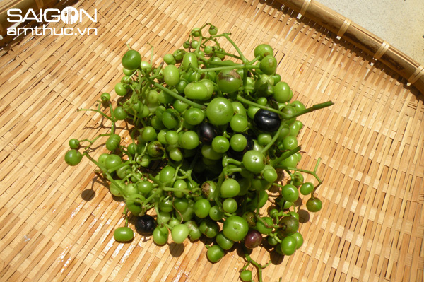 Dặn Em đừng Cắn Nho Rừng”