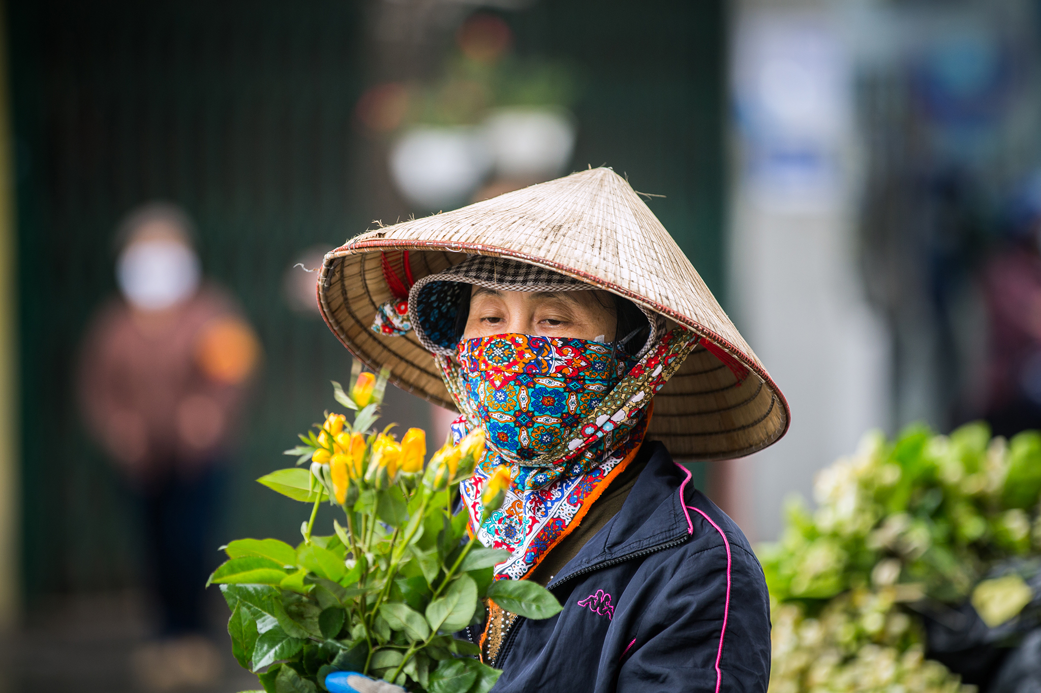 Tần tảo hàng rong Hà Nội