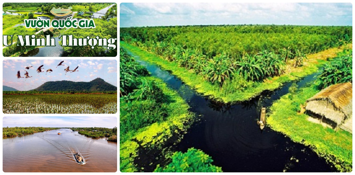 Vườn Di sản ASEAN kỷ lục trên đất than bùn 'có một không hai' tại Việt Nam