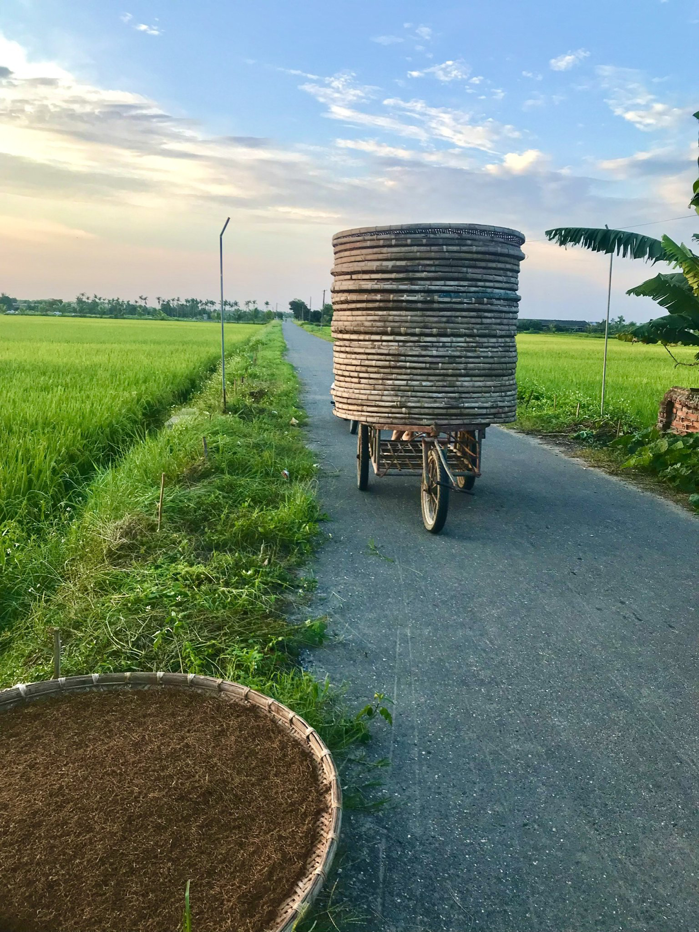 Về làng say mùi thuốc lào