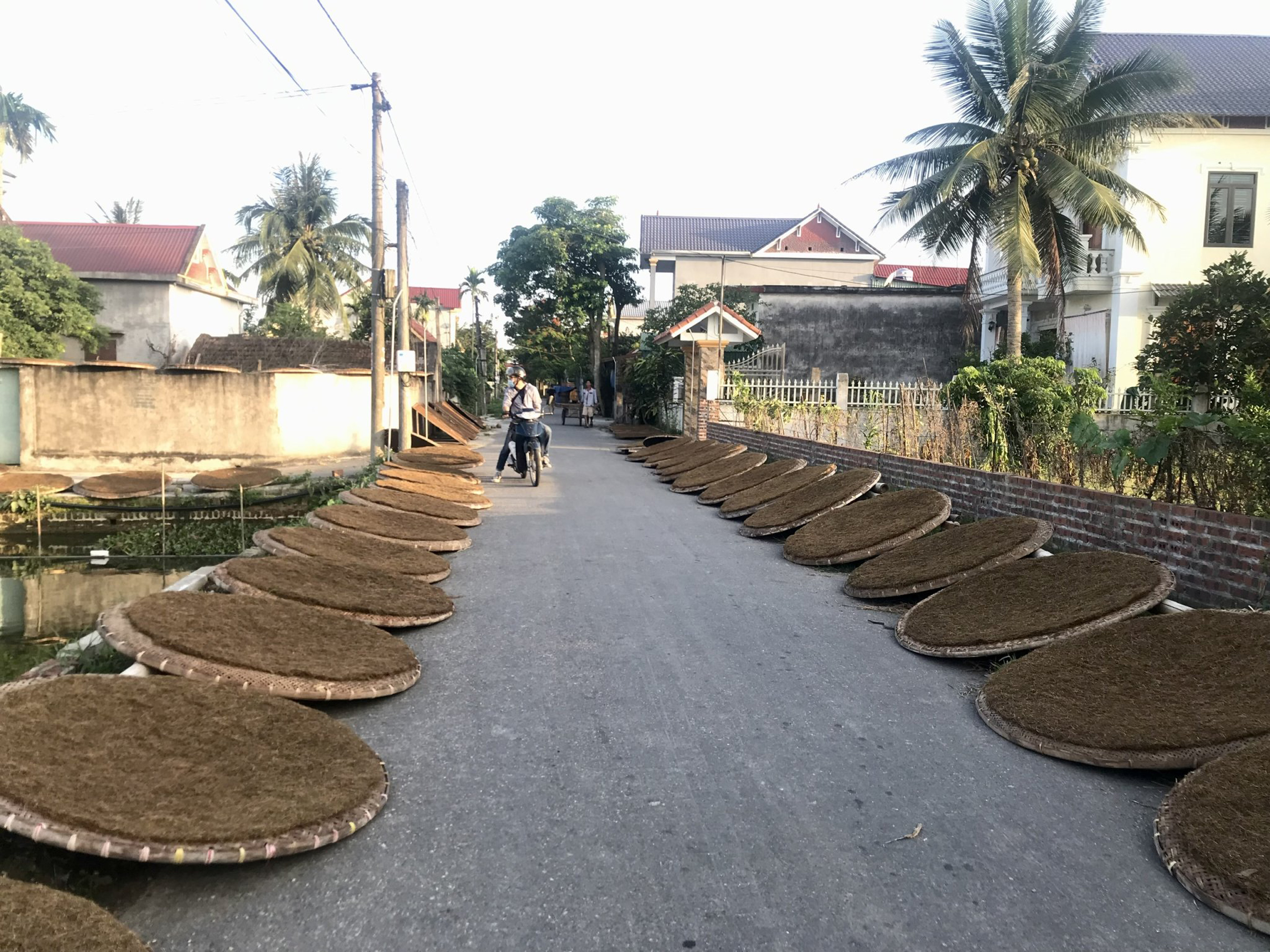Về làng say mùi thuốc lào