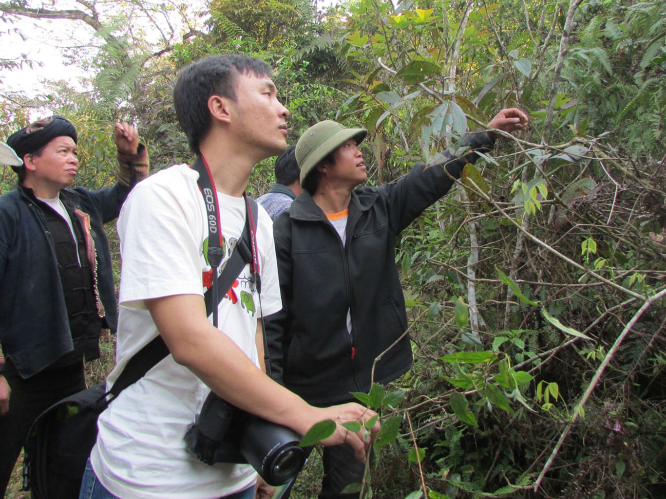 Khám phá thảo dược Việt: Lộc rừng rưng rưng nước mắt