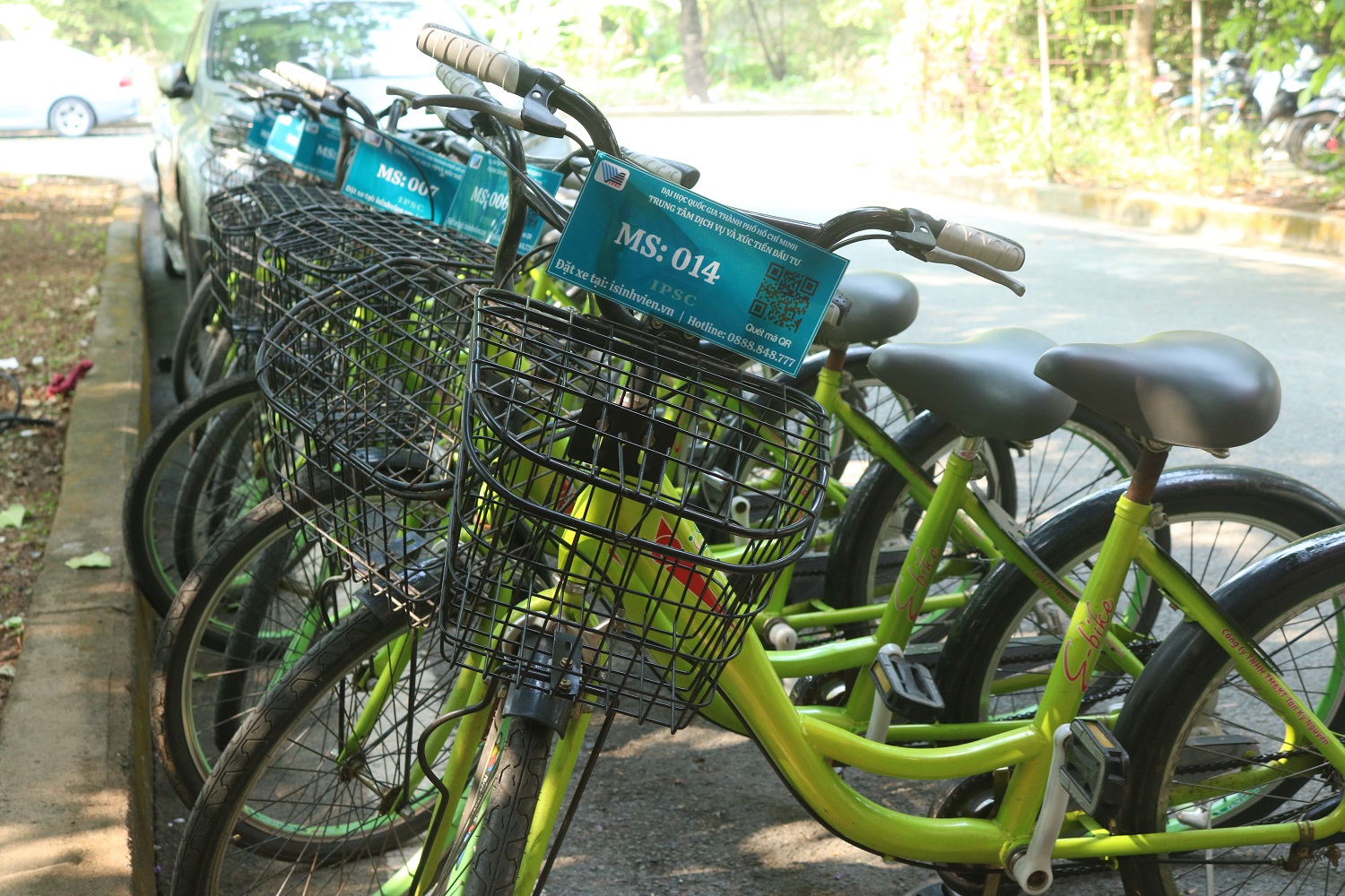 Sinh viên vi vu khắp làng đại học với xe đạp miễn phí