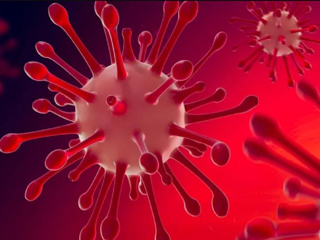 Hồng Kông: Chỉ mở cửa lấy thức ăn và test nhưng vẫn bị lây Omicron?