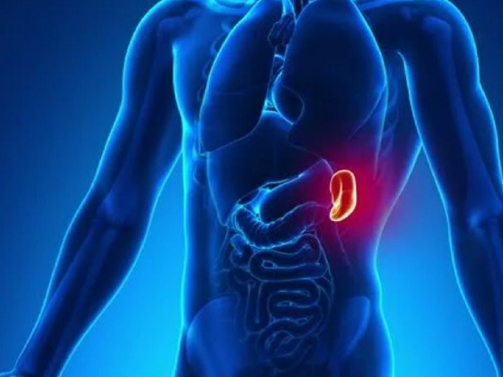 Dấu hiệu nào cảnh báo chấn động đã gây vỡ lá lách?