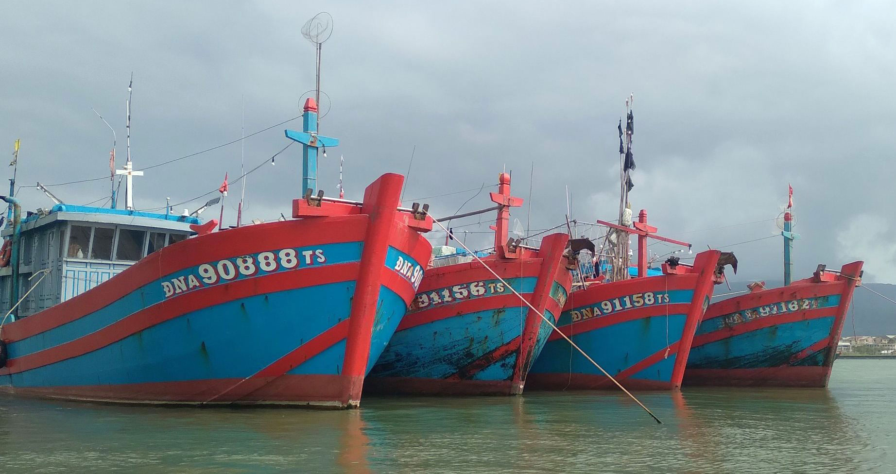 Làm giàu từ biển: Phất lên nhờ đội tàu không lưới