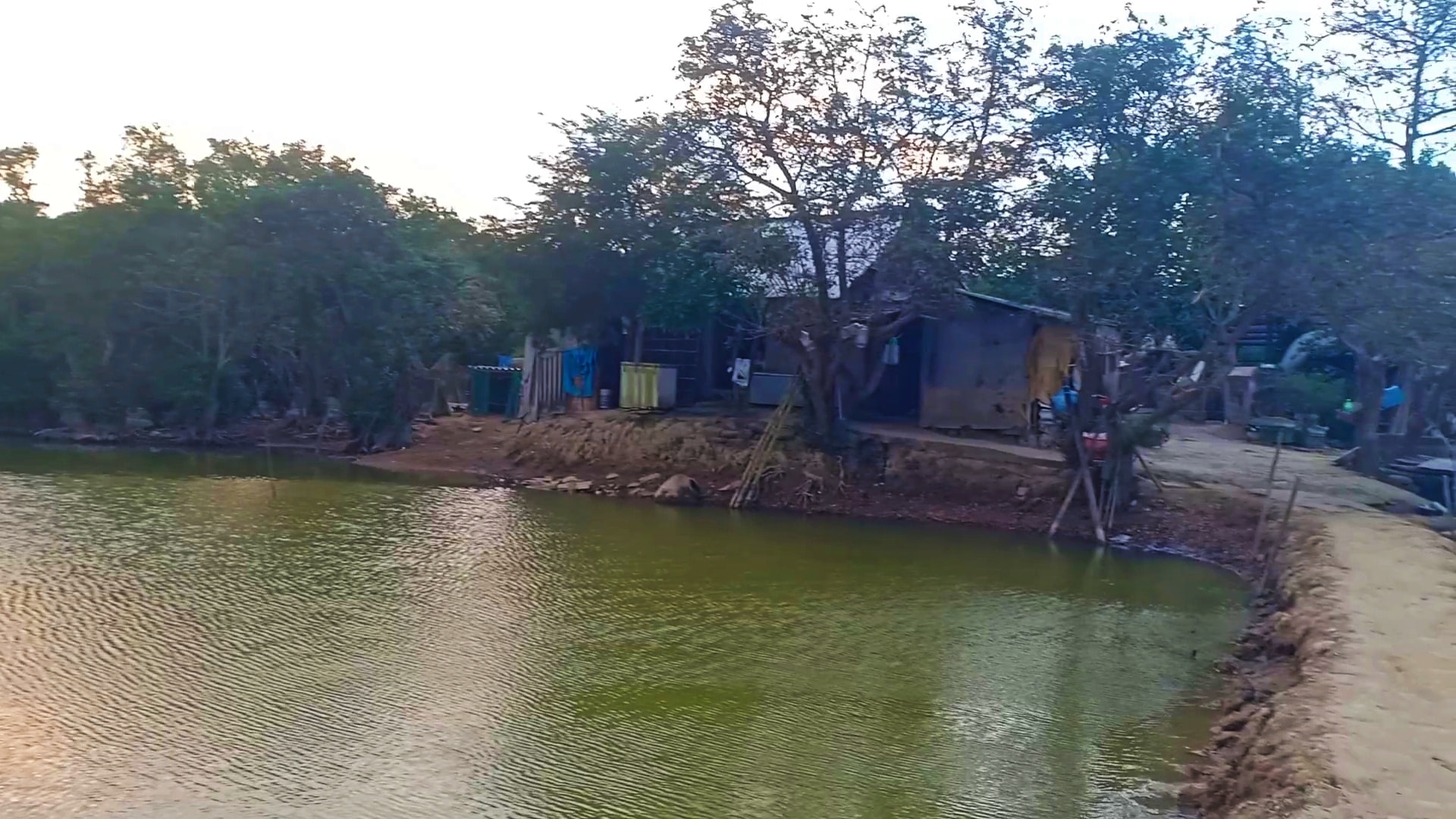 ‘Robinson phiên bản Huế’ Nguyễn Văn Đáp giữa rừng Rú Chá