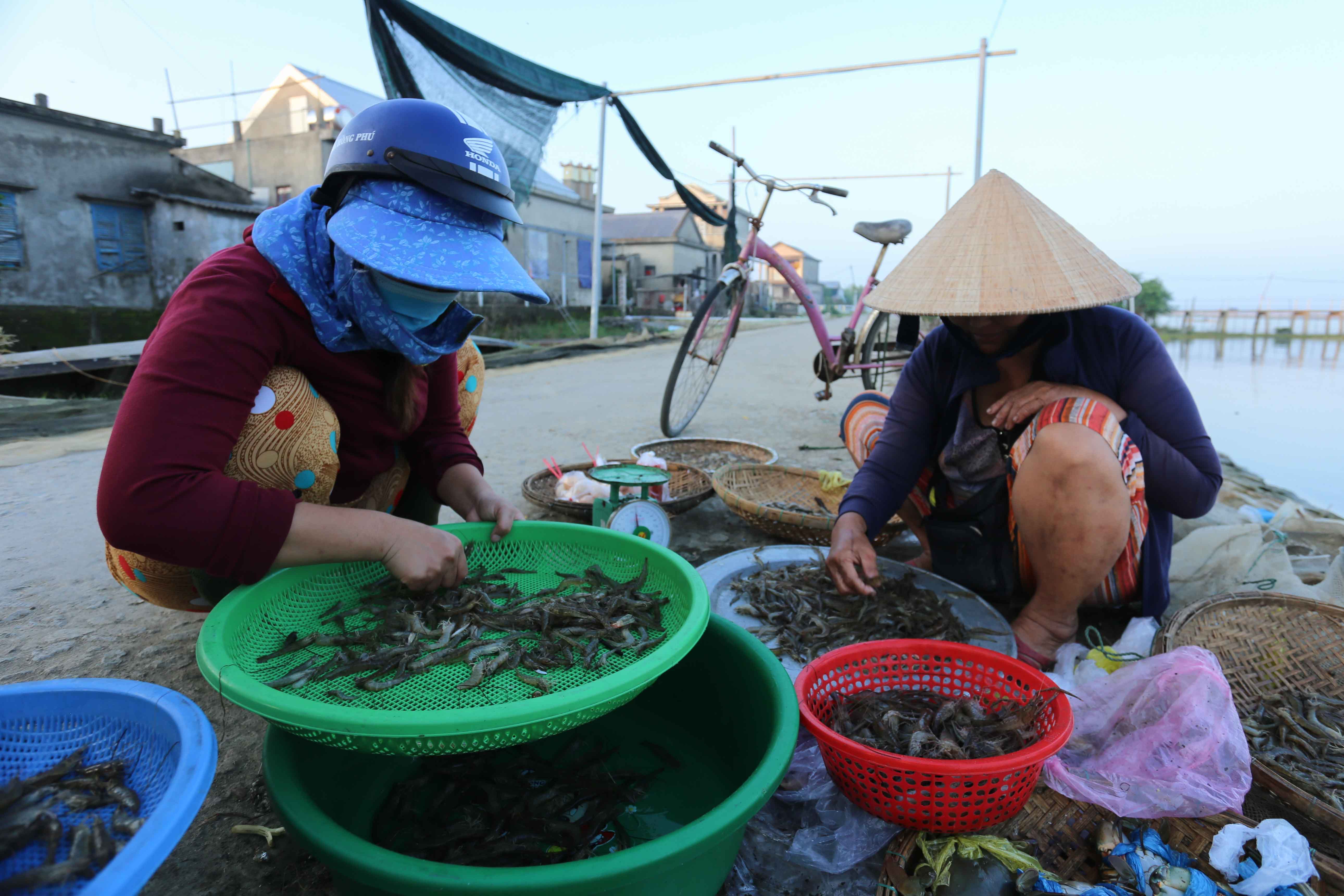 'Độc lạ' bánh xèo cá kình làng Chuồn, muốn ăn phải đi từ mờ sáng