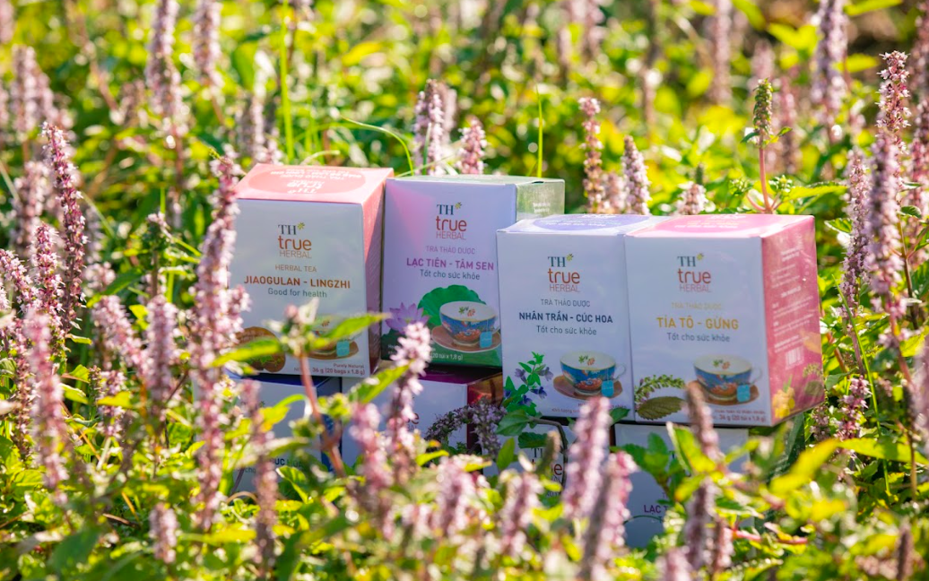 Tập đoàn TH ra mắt trà thảo dược túi lọc TH true HERBAL