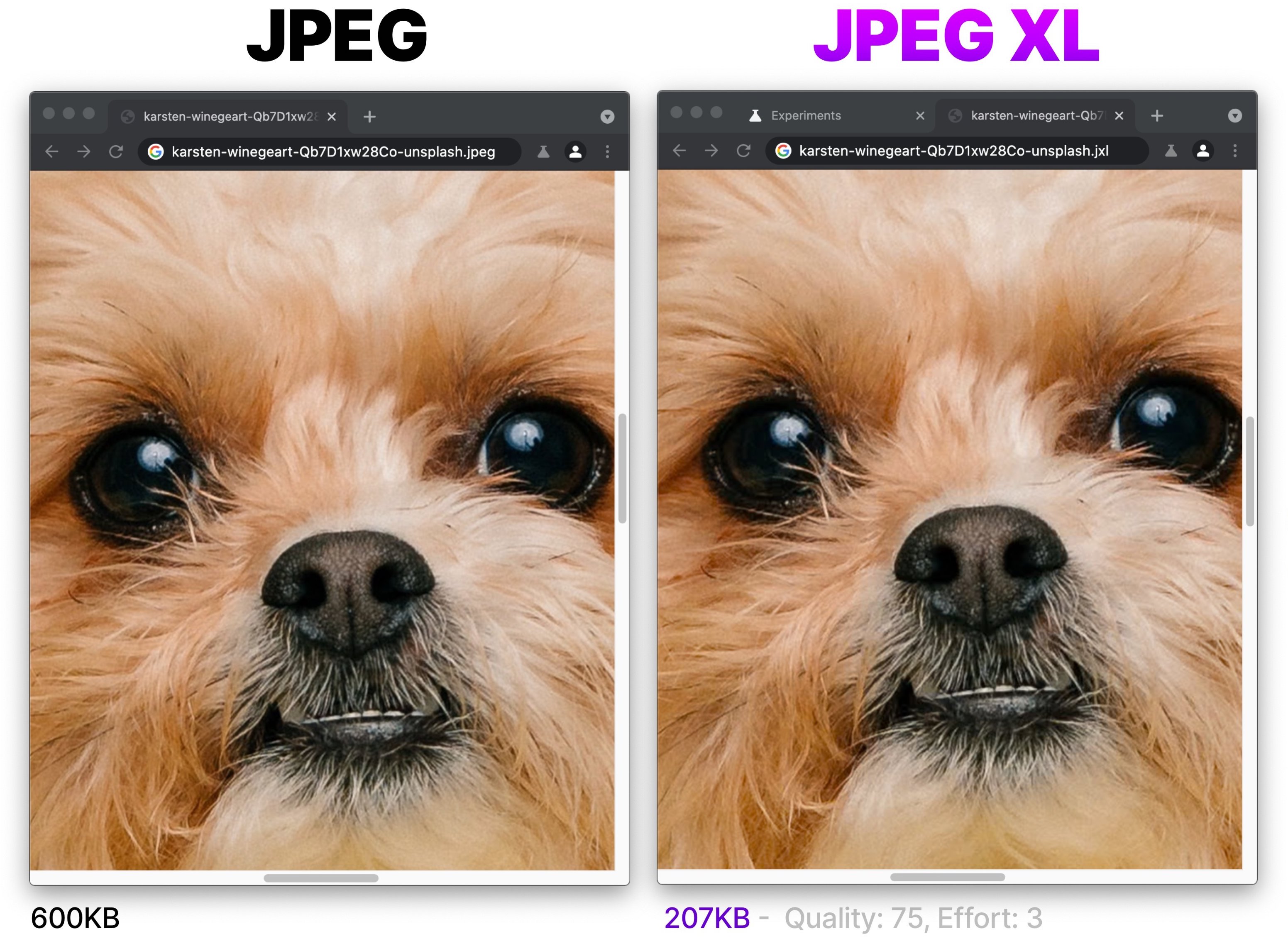 Google nói không với định dạng JPEG XL, tiếp tục phát triển AVIF