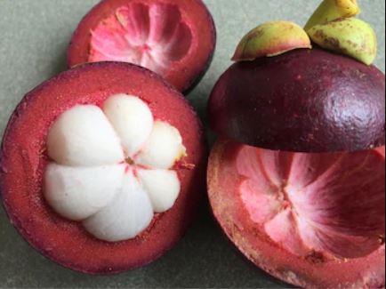 Khoa học nói gì về sức mạnh chống ung thư của trái măng cụt?