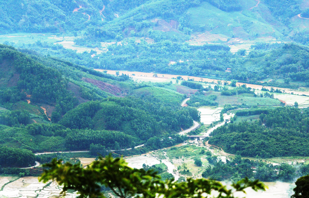 Vi vu qua đèo Violăk